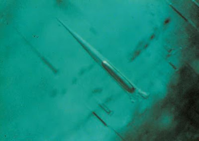golecha: Nailhead spicule in yet another Natural emerald