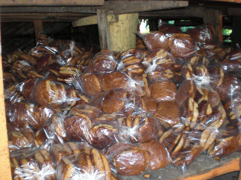 LA ESQUINA DE PANCHO PEREZ.: NUESTROS COCONETES DEL MUNICIPIO BAITOA ...