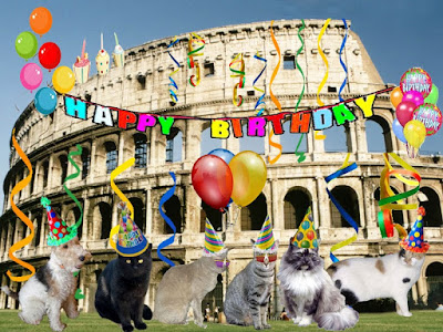 Mieow: Surprise Birthday Party for Opus in Rome