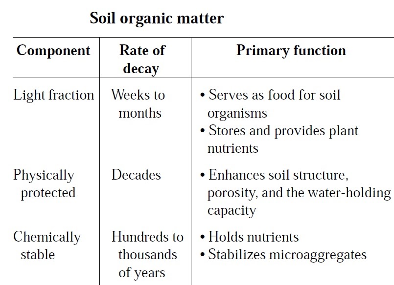 What is Organic Matter and Why it is Important