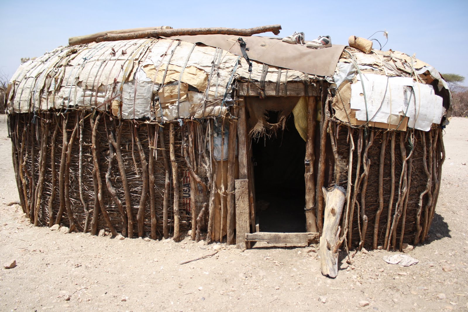 Julie & David's African Adventure