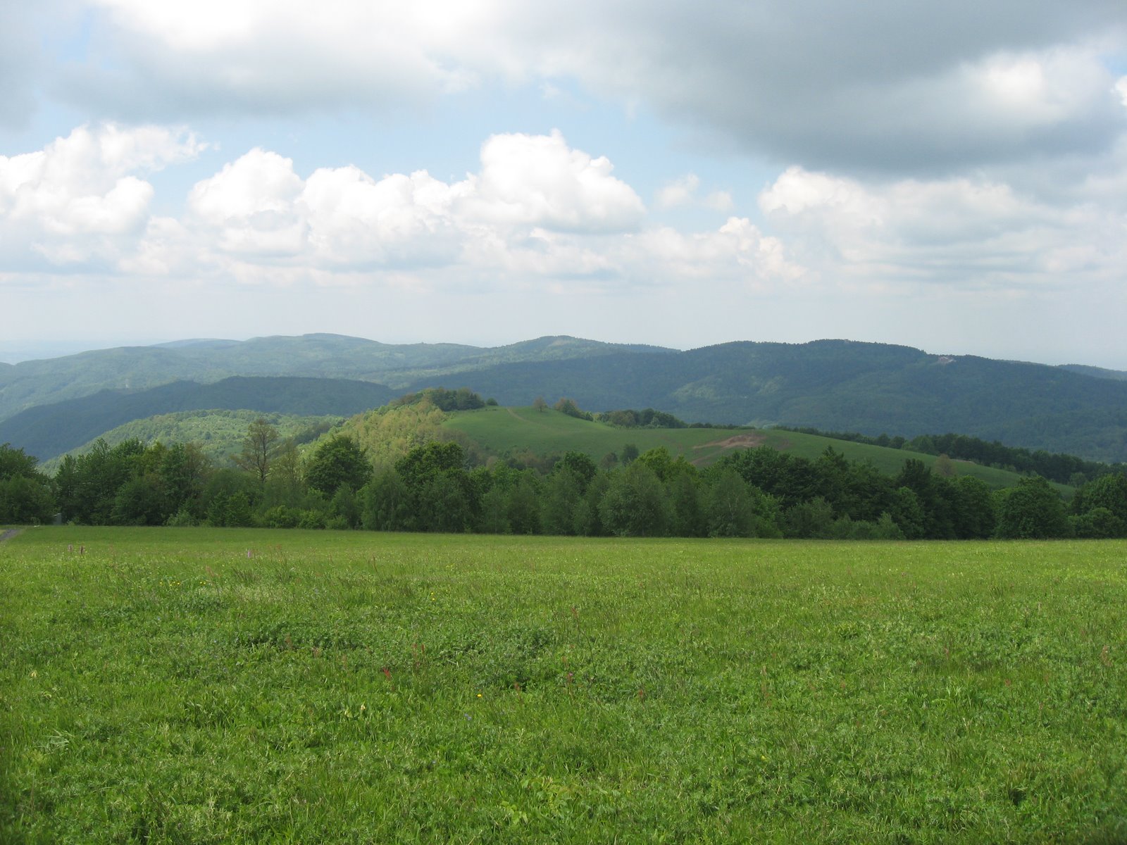 Walking Shoes and a Digital Camera: National Park Kozara