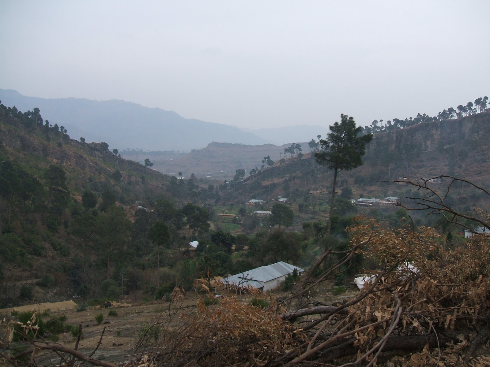 Panjera - JungleKey.in Image