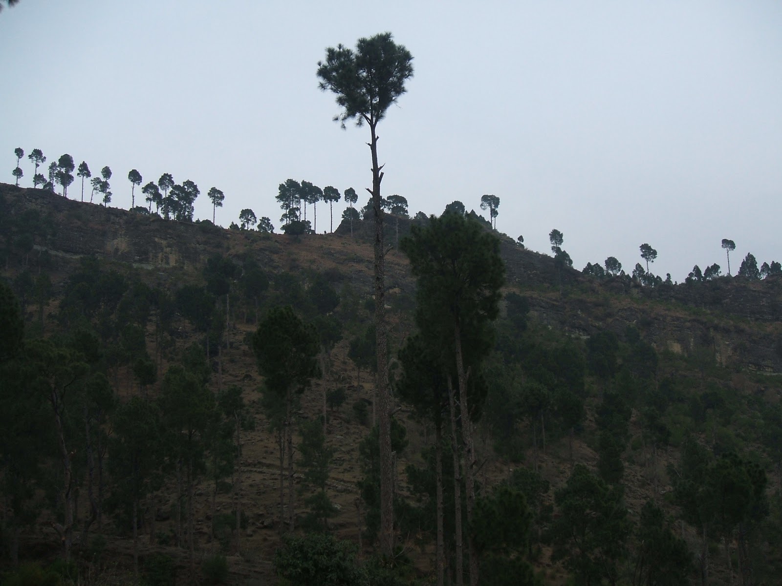 Beautiful Kashmir: The Beautiful Kathiyari panjera kotli