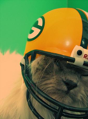 Having a bad Crohn's day: Super Bowl Follow-Up-The Cute Edition