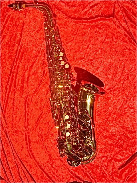 THE SAXGOURMET DAILY PICAYUNE-INTELLEGENCIER AND JOURNAL EXPRESS