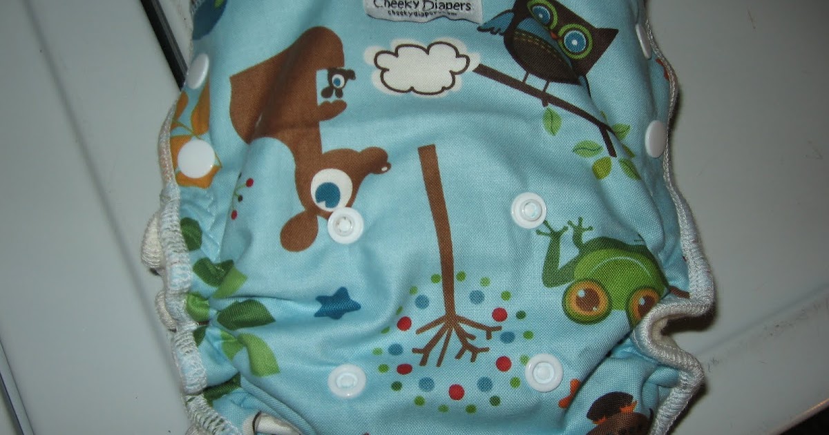 Cloth Diaper Addiction: Cheeky Diapers Fitted Review and Giveaway