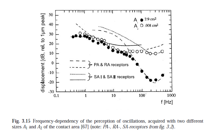 edbhok: Biological Basics of Haptic Perception