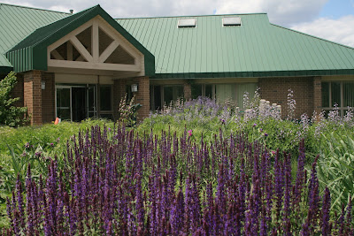 MIDWEST GROUNDCOVERS Display Gardens & Plant Trials: Focus on Design