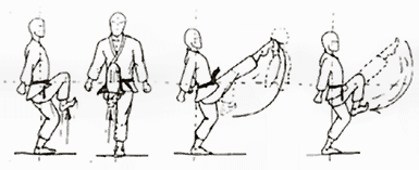 El Camino del Jiu Jitsu: Mae geri