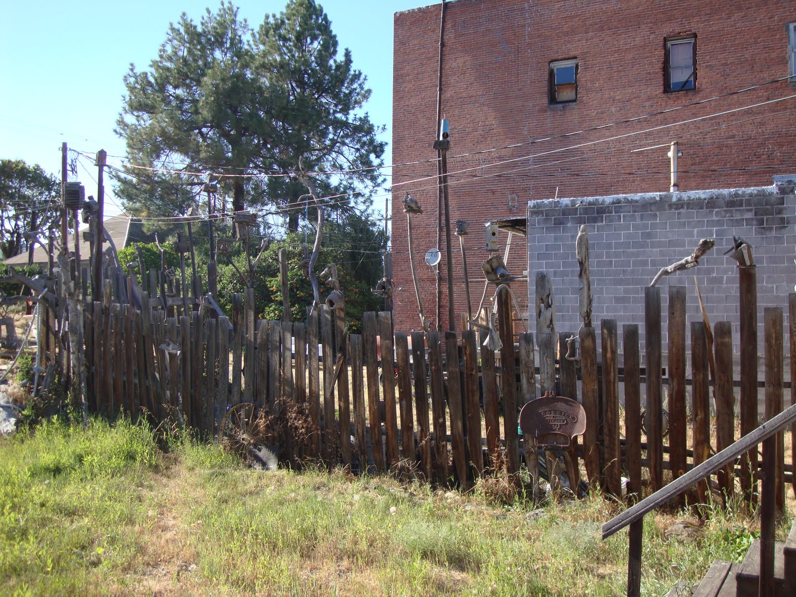 danger garden: yard of the month