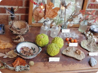 Wild Oak Academy: Nature Table Inspiration