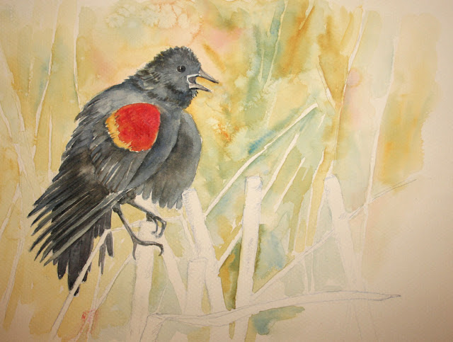 Vickie's Sketchbook: The Fun of Painting a Red-winged Blackbird