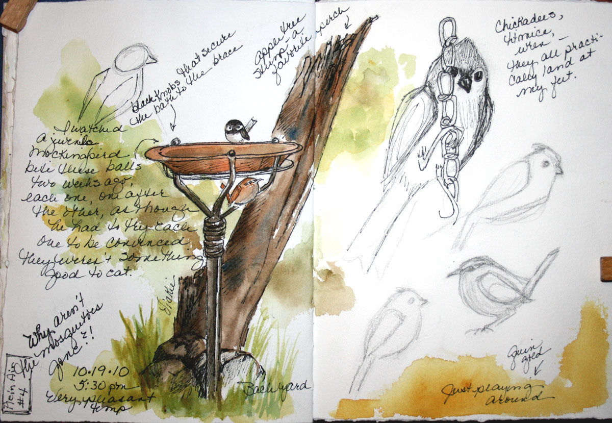 Vickie's Sketchbook: Sketching Birds in the Backyard