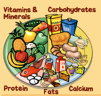 Healthy Eating for Average Teenagers: The Importance of An Average ...