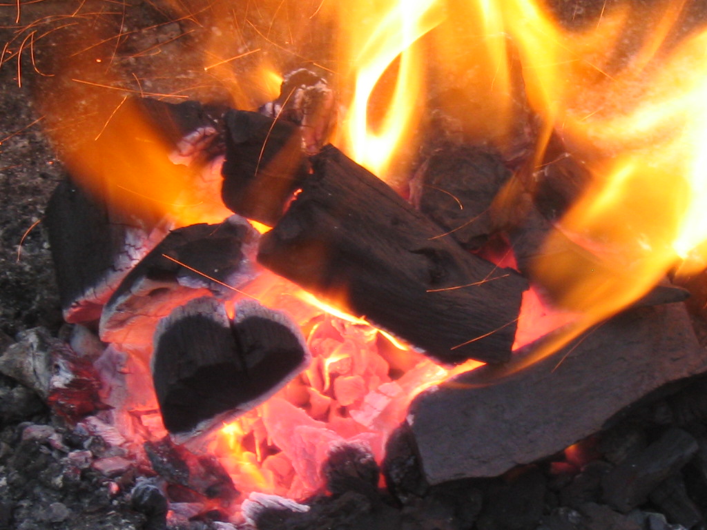 Helbert Agostinho Alves: FOGO CONSUMIDOR