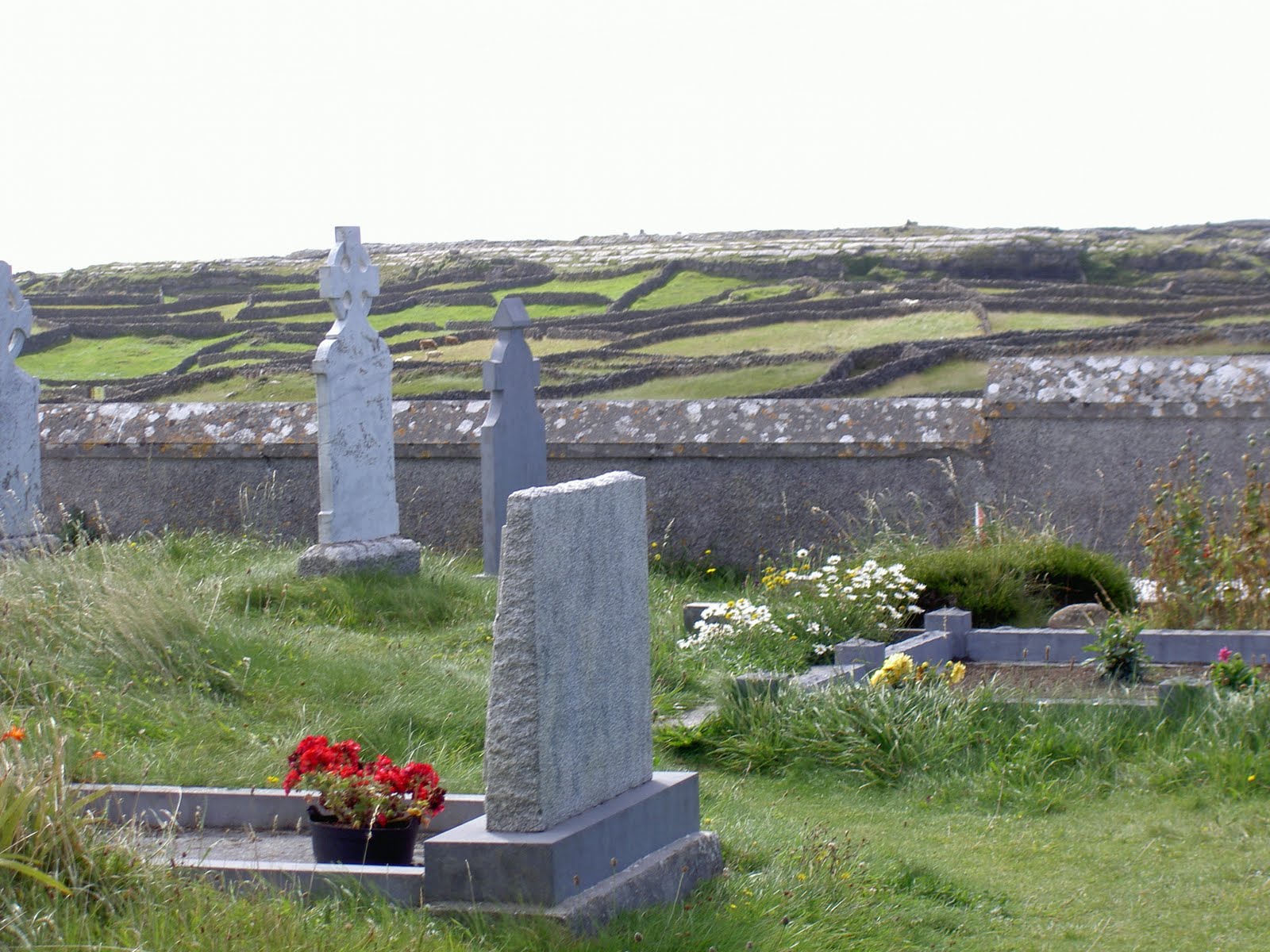 Susan and Ellen's Blog of our Ireland trip