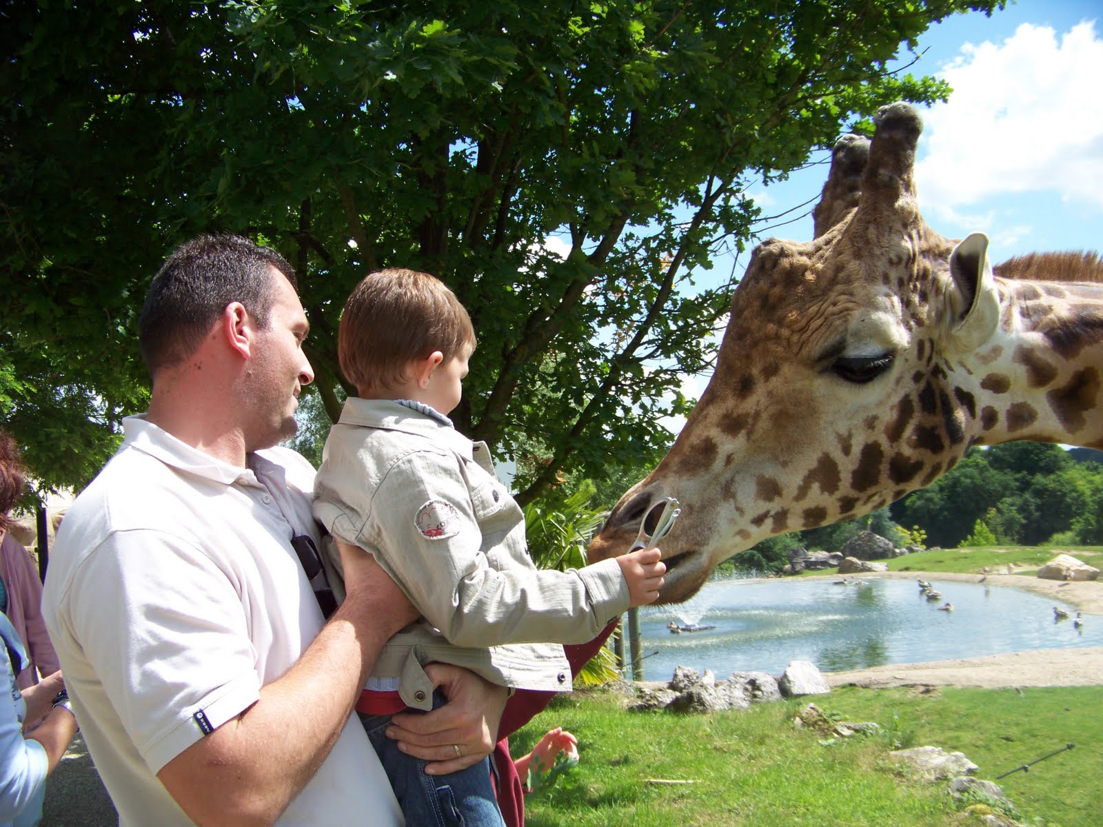 mon petit monde a moi: Visite au zoo