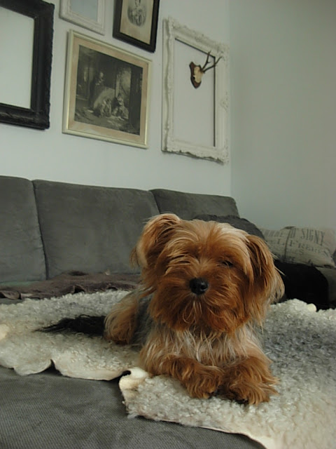 Vaaleaa unelmaa: Musta arkku ja vähän harmaatakin taas...