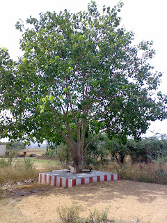 Dhivya Dharsanam: Manimangalam Sri Kailaasanaadhar