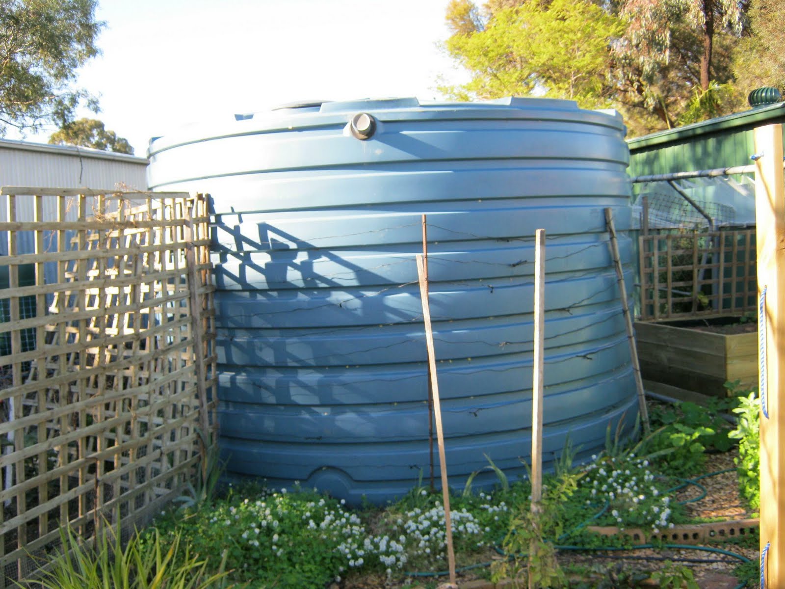 DIY greywater: DIY rainwater