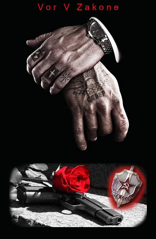 PLUTA LUI SURRY: DE LA PERSUASIUNE LA VOR V ZAKONE