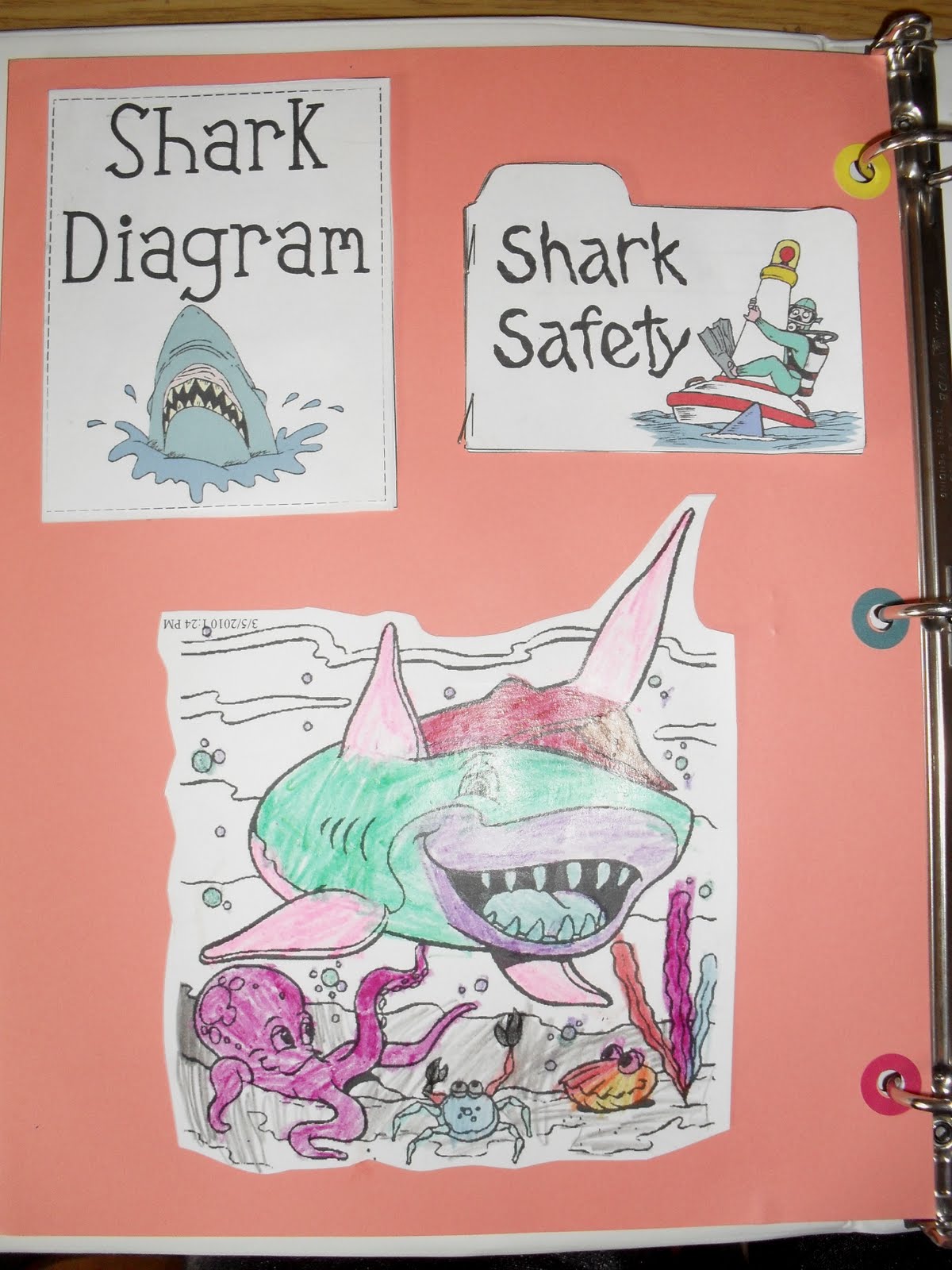 Loving Life Lapbooks: Shark Lapbook / Notebook
