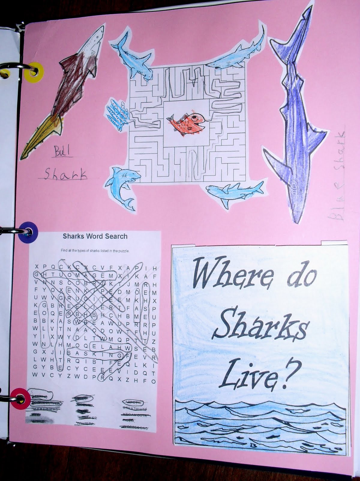 Loving Life Lapbooks: Shark Lapbook Notebook finished