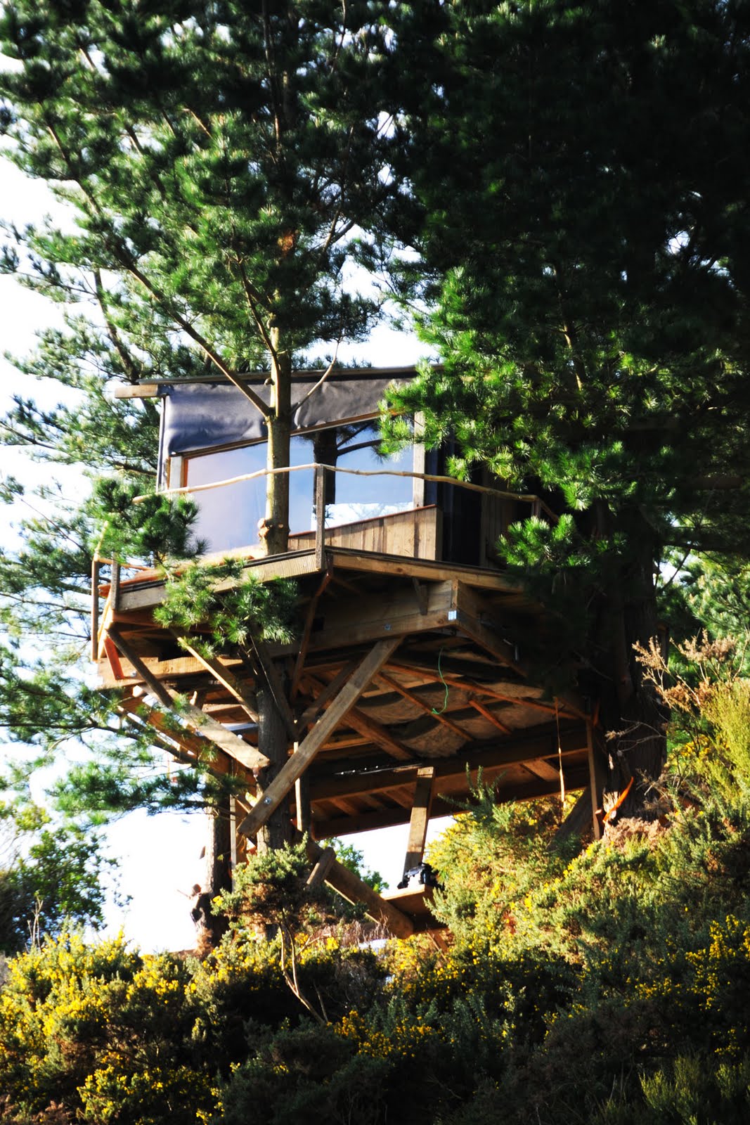 The Best Hut (Tree Bach), Tree House, New Zealand: Nice Sunday gibbing ...