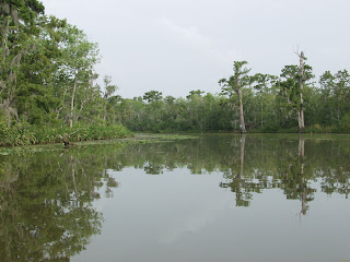On the road with the free and easy riders!: Garfish Rodeo 2009