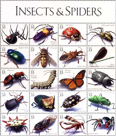 Healthforlifestyle | Health Tips For Best Or Better Healthy Lifestyle ...