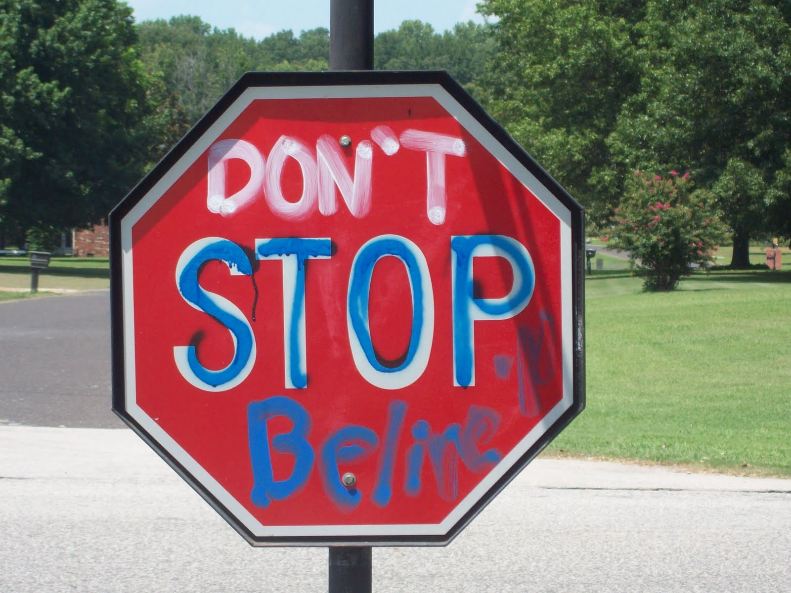 Pow! I Gotcha!: Greatest Stop Sign Graffiti Evar