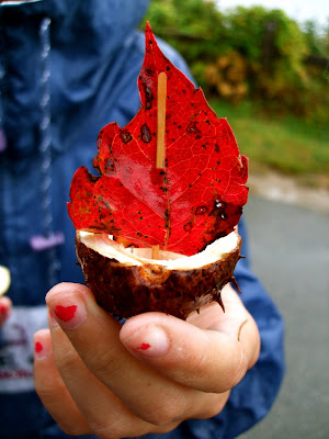 Acorn Pies: How to Make Little Horse Chestnut Ships