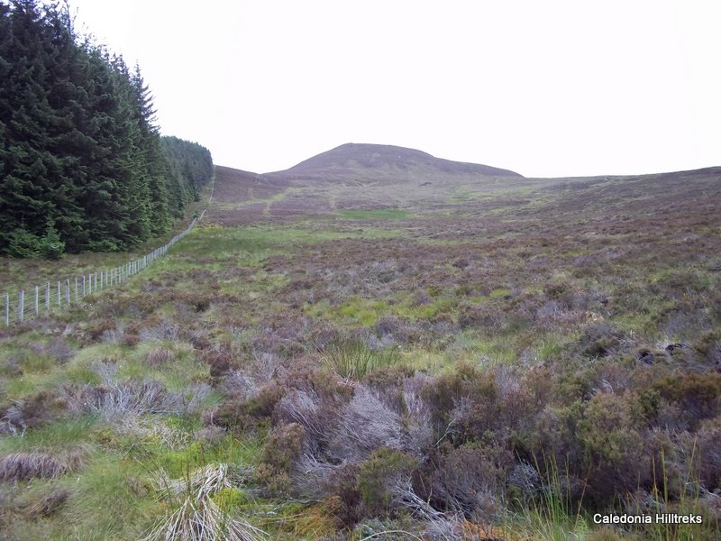 Caledonia Hilltreks Scottish Sub 2000 feet Hills: Meall Mor, Inverness ...