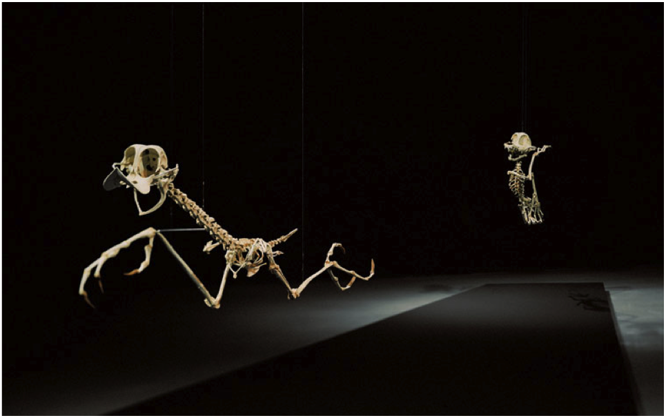 Coast to Coast: Inspiration