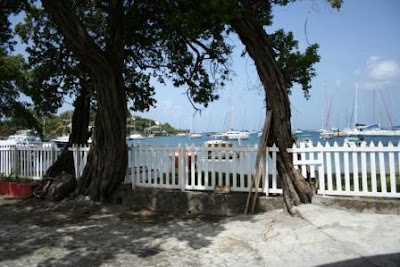aquest.ca: St Vincent and the Grenadines