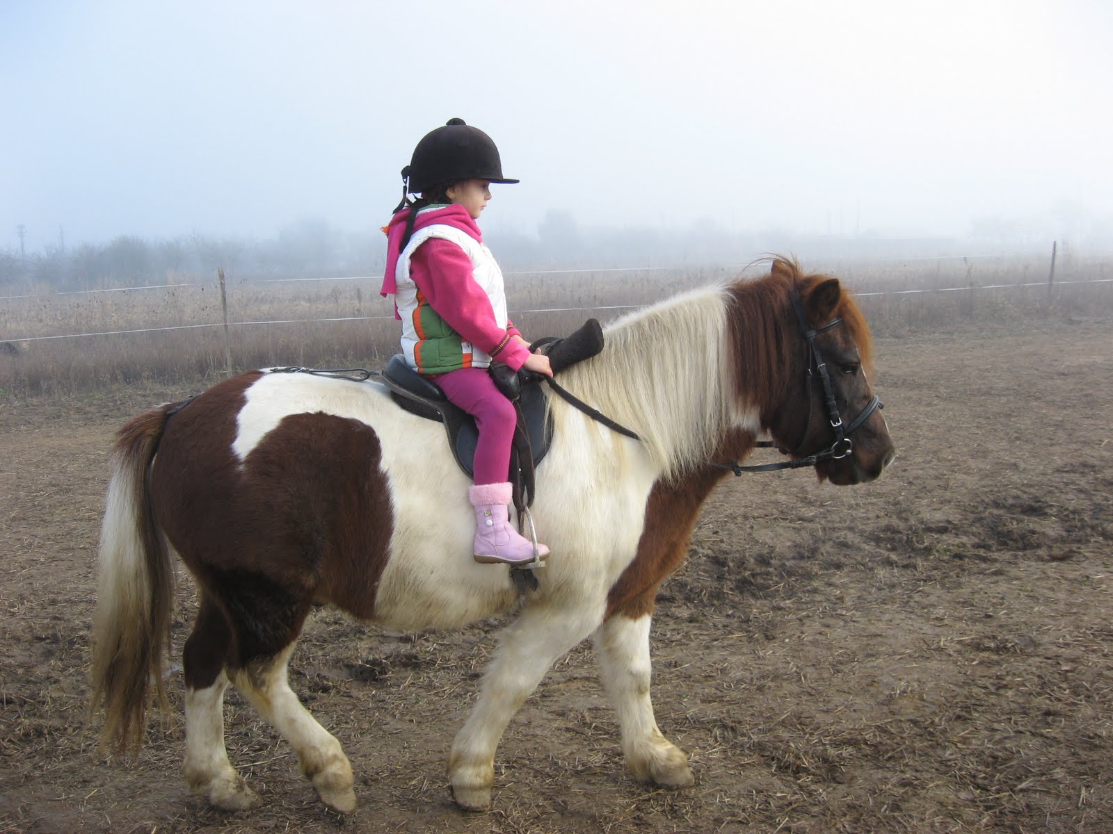 Ecvestria Varlaam: Calarie cu ponei!