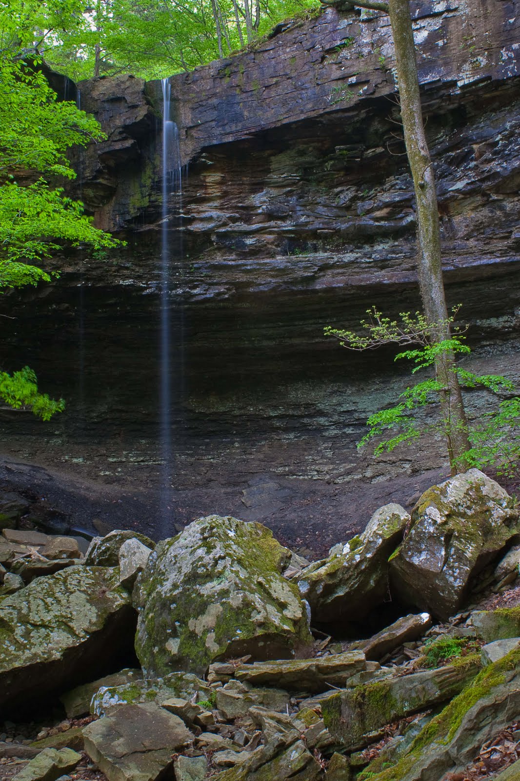 Waterfall Hunting: 4-17 Long Pool Falls