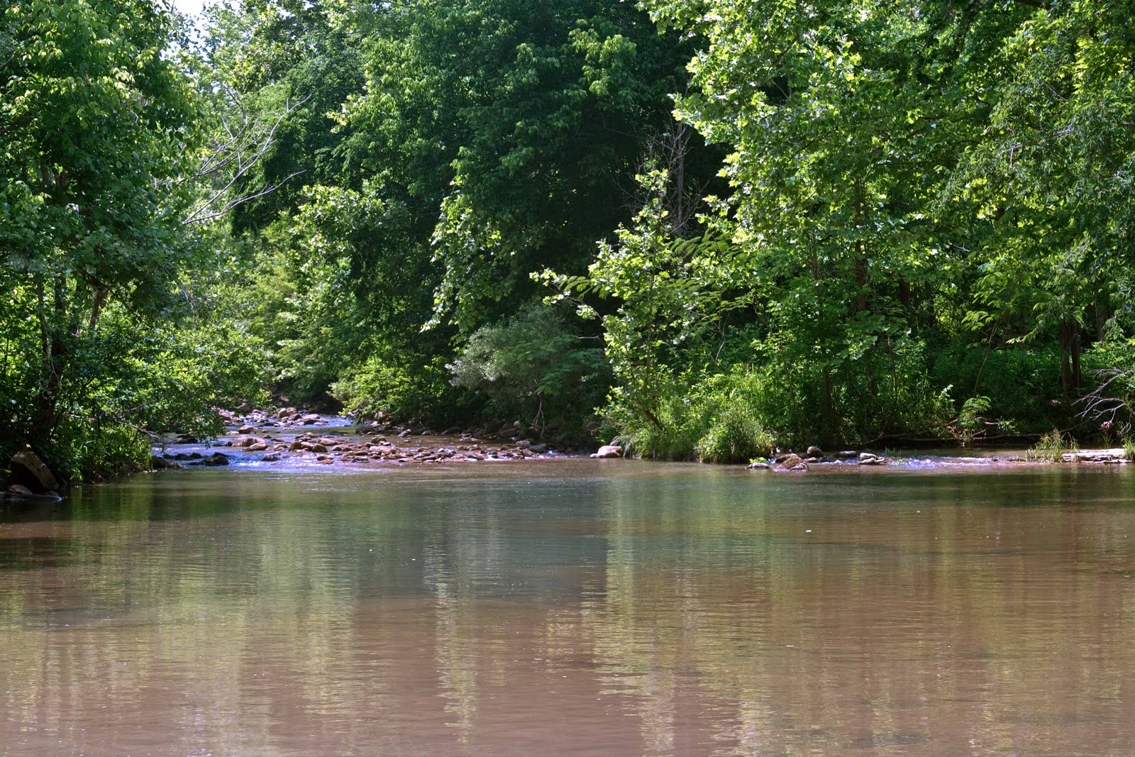 Waterfall Hunting: 5-28 Liles Falls and Twin Falls