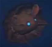 MudBay World Wonders: Vampyroteuthis infernalis