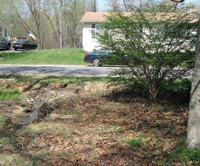 CAVEBEAR'S LAIR: Storm Drain and Drainage Easement