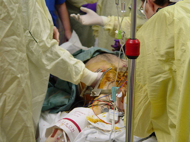 A LIFELONG JOURNEY...: A YEAR TO LIVE, A YEAR TO LOVE...