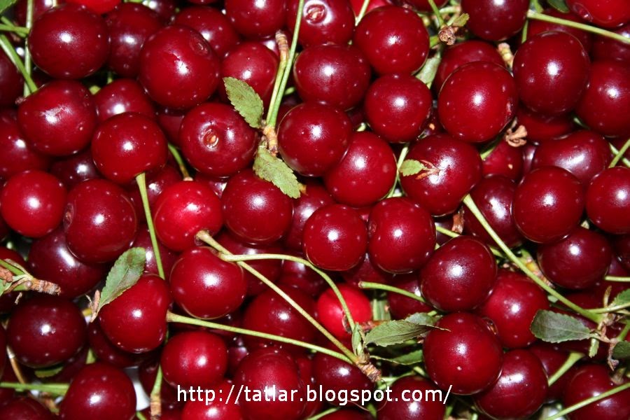 Vişne - PRATİK MUTFAK BİLGİLERİ