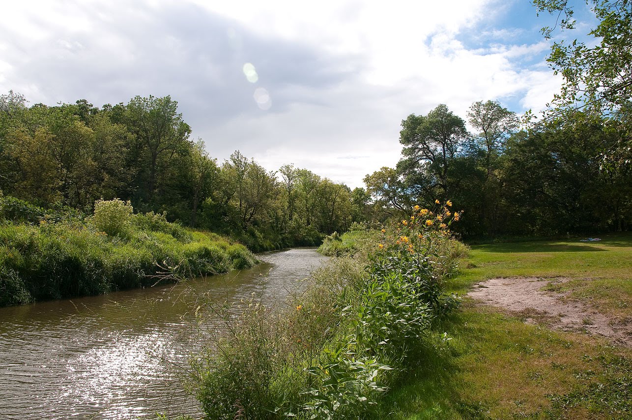 My Pixelated Oasis: Turtle River State Park