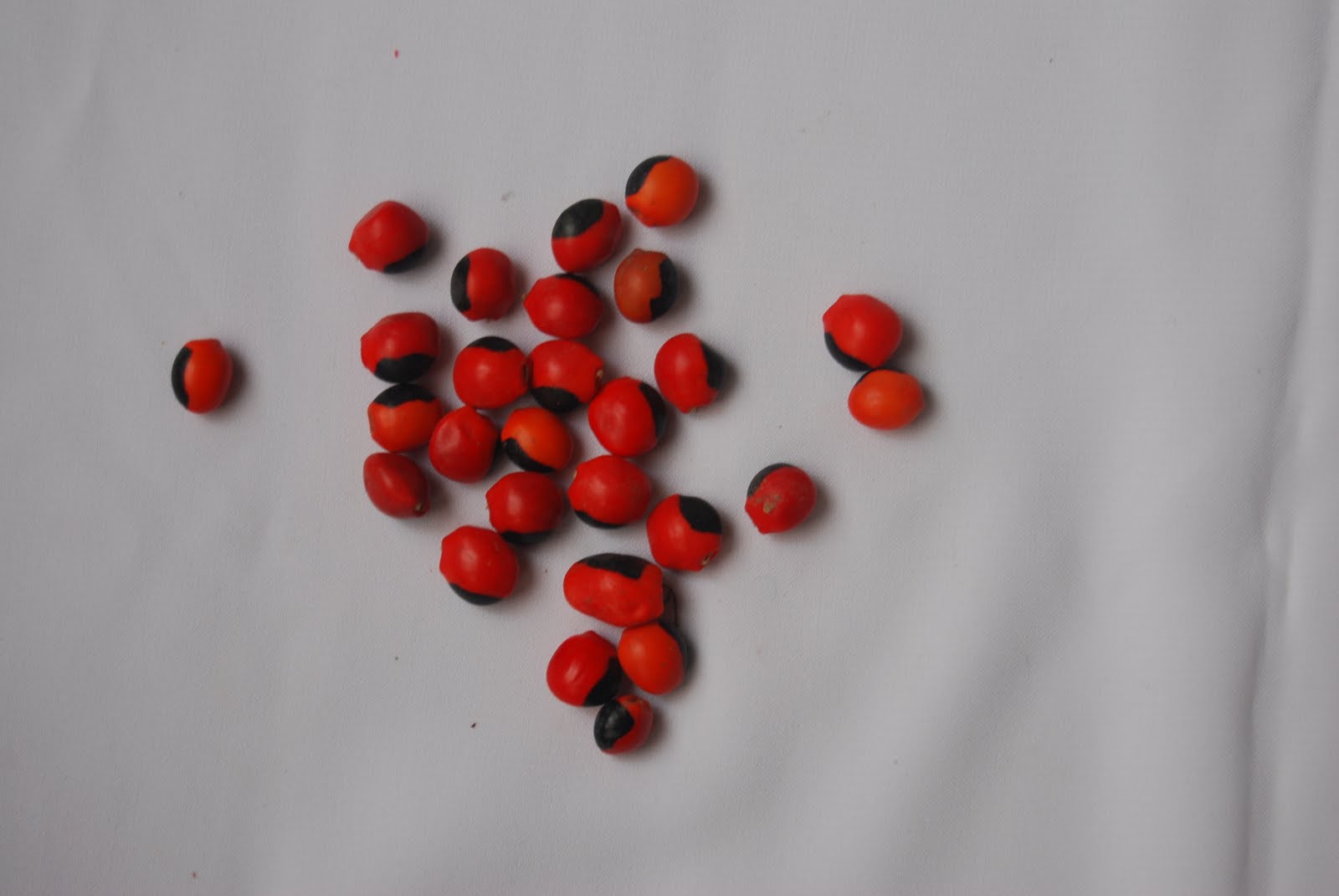 ARTESANÍA HUAYOS