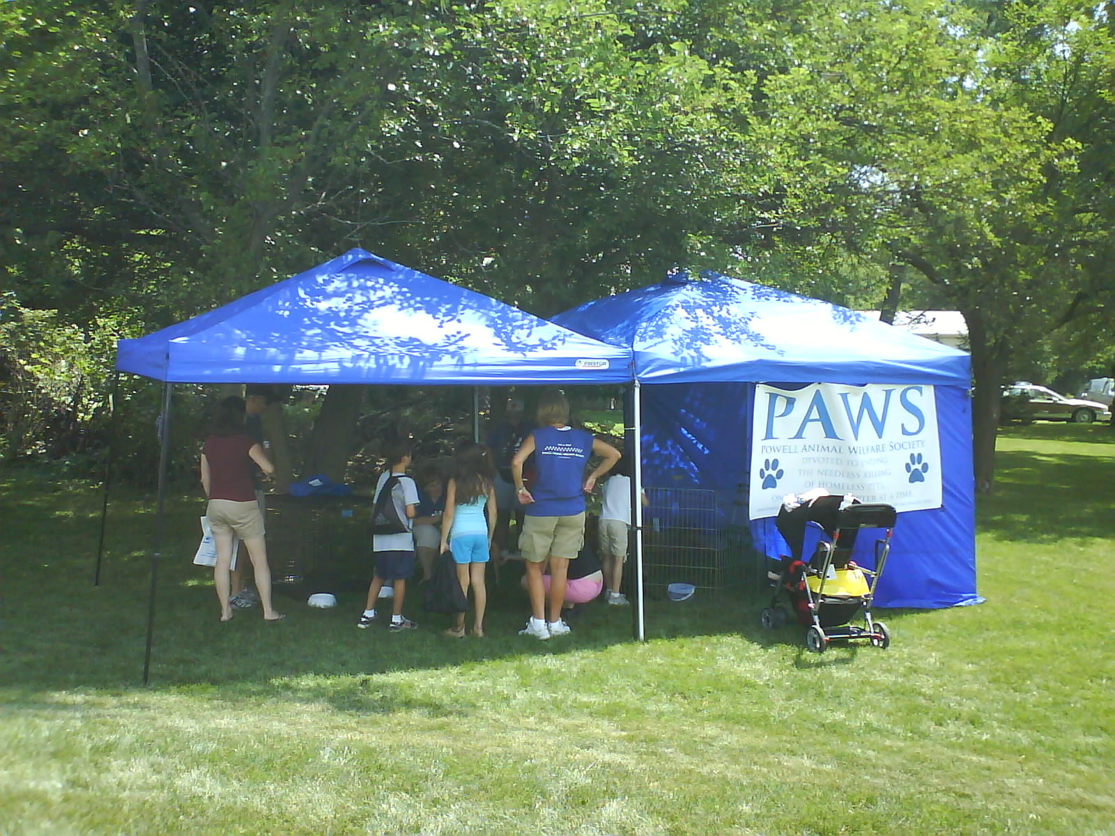 Powell Festival - Powell, Ohio