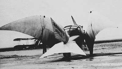 nhungdoicanh: Bonney Gull