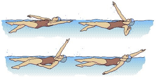 Coach Dee's Swim Blog: Backstroke Training