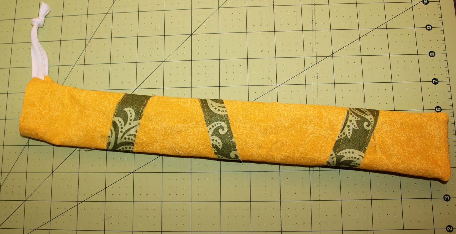 Musically Charged: Recorder Case