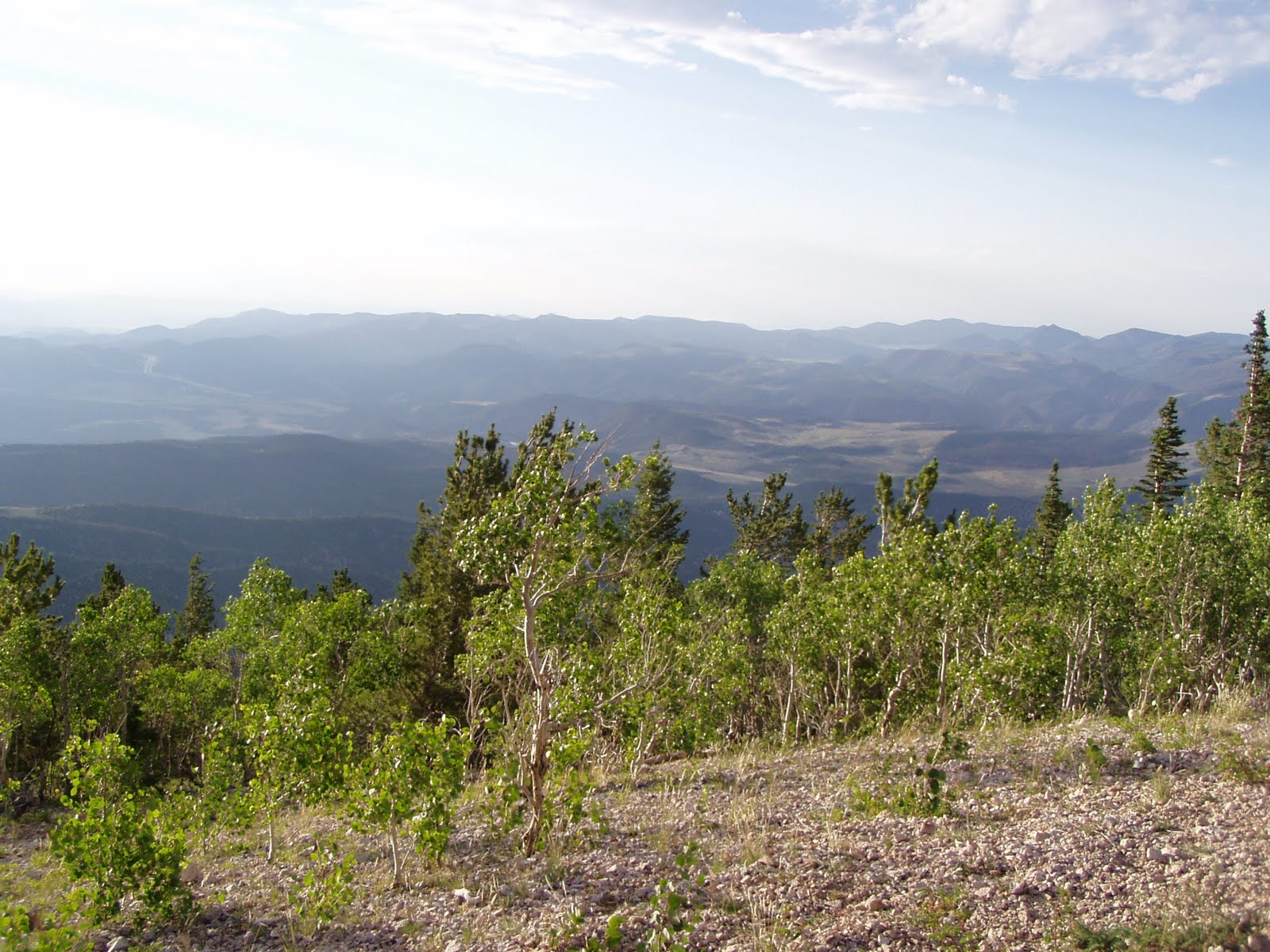 Western Americana: History of the American West: 2010